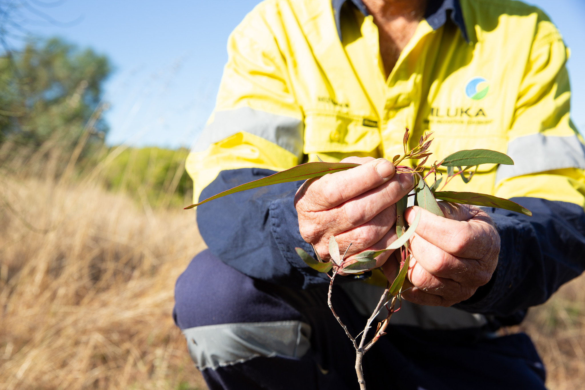 Media | Iluka Resources