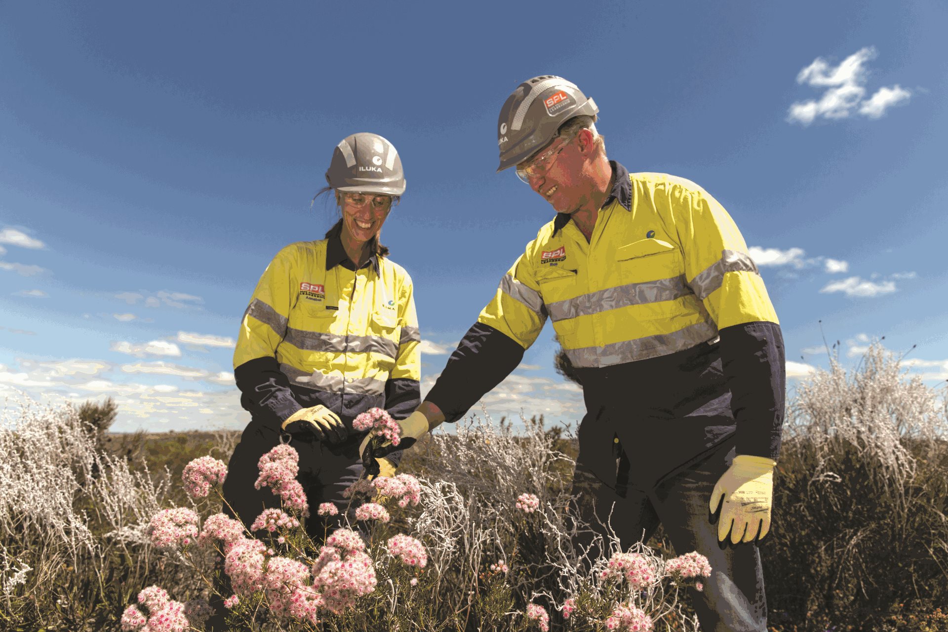 Current Opportunities - Careers | Iluka Resources